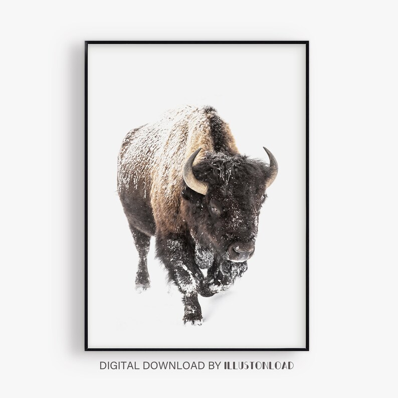 Bison Printable Bison Poster Bison Wall Art Buffalo Wall - Etsy