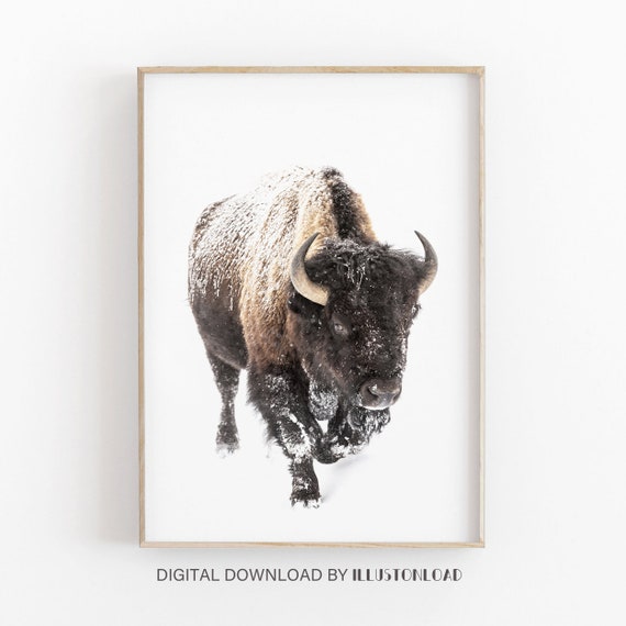 Bison Printable Bison Poster Bison Wall Art Buffalo Wall - Etsy