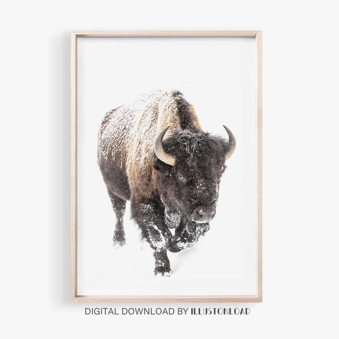 Bison Printable Bison Poster Bison Wall Art Buffalo Wall - Etsy