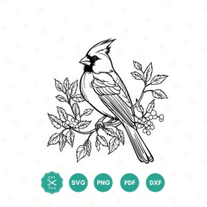 Cardinal Bird Silhouette, Bird SVG, Pdf, Dxf, Png, Bird Clipart, Bird ...