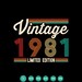 Vintage 1981 Svg, Retro 1981 Birthday Gift, 1981 Birthday Svg, 1981 ...