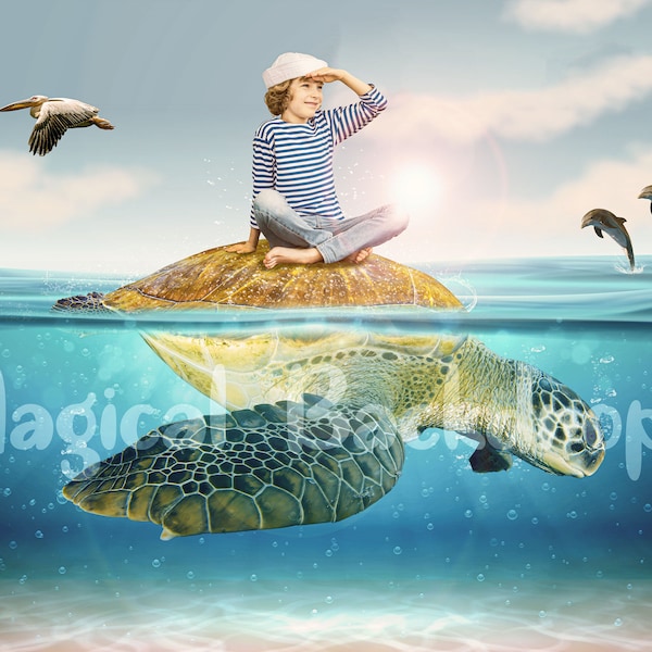Turtle Sea Backdrop - Etsy