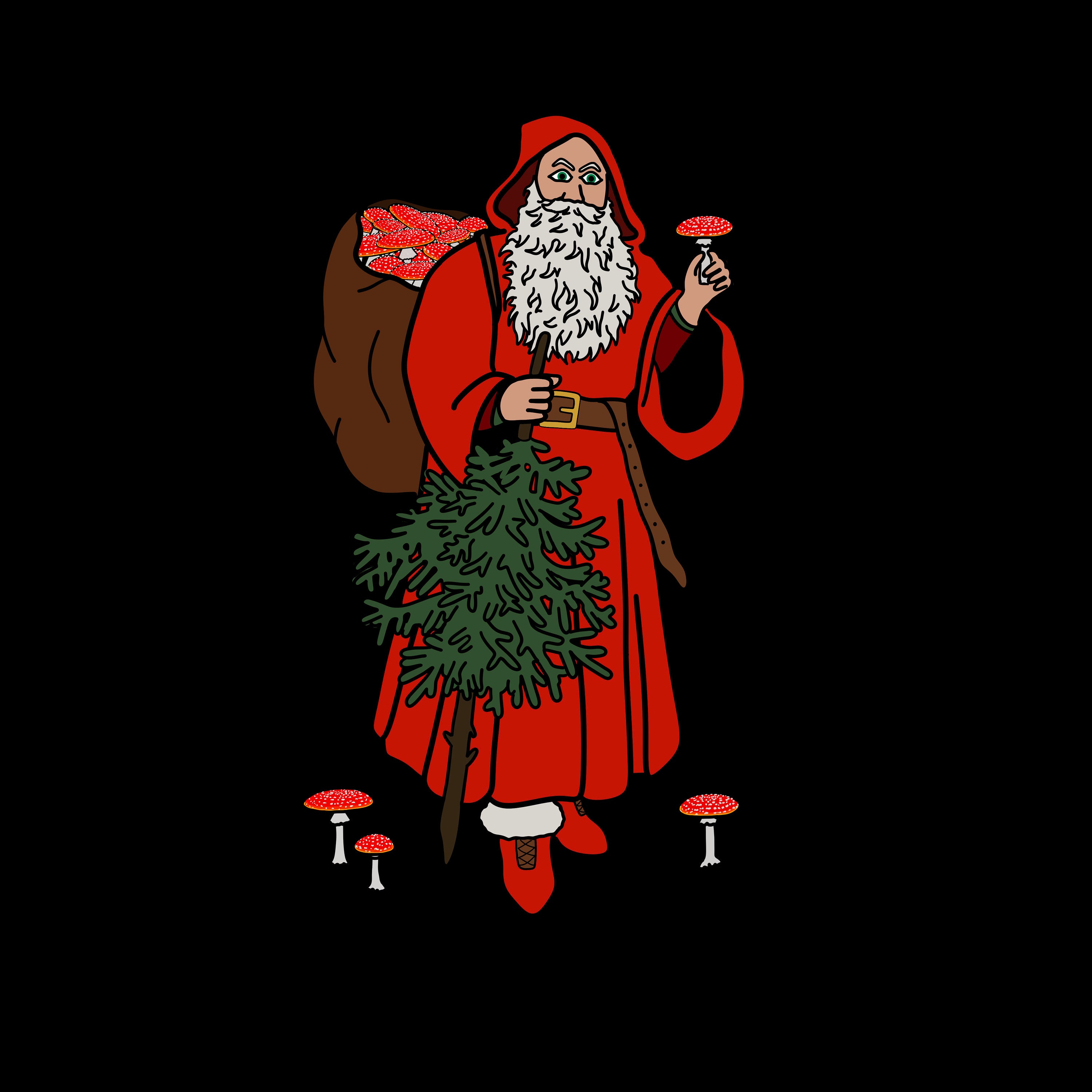 Shaman Santa Claus Amanita Mushroom Christmas T Shirt - Etsy