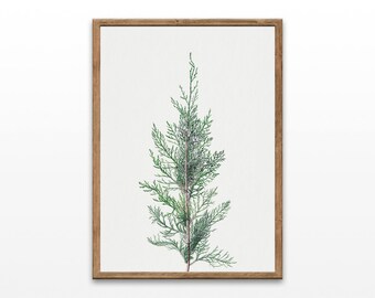 Juniper Tree Art - Etsy