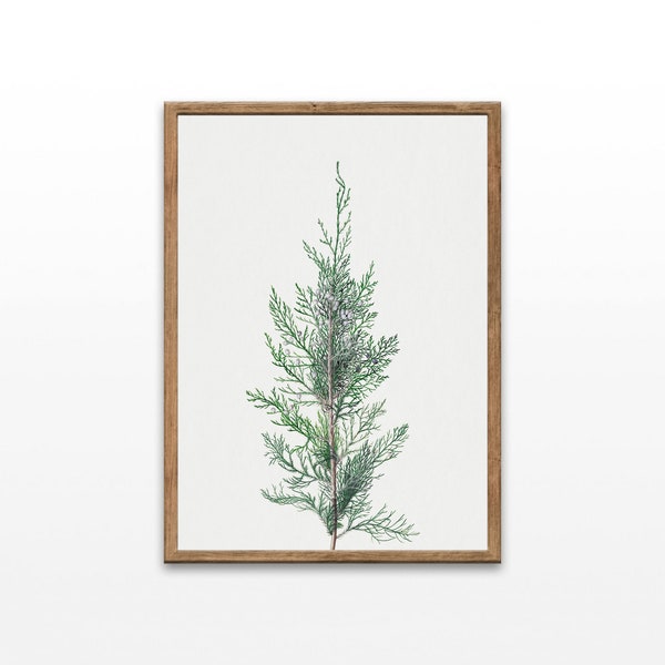 Juniper Home Decor - Etsy