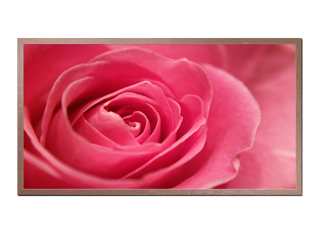 Samsung Frame Tv Art, Pink Rose, Art for Tv Frame, Lg Tv Art, Valentine ...