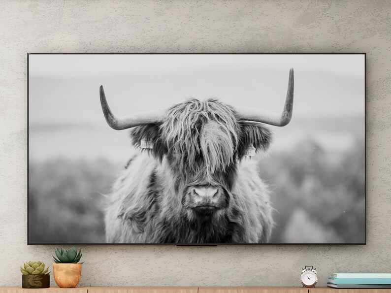 Samsung Frame Tv Art Highland Cow Shaggy Cow Photo Frame TV | Etsy