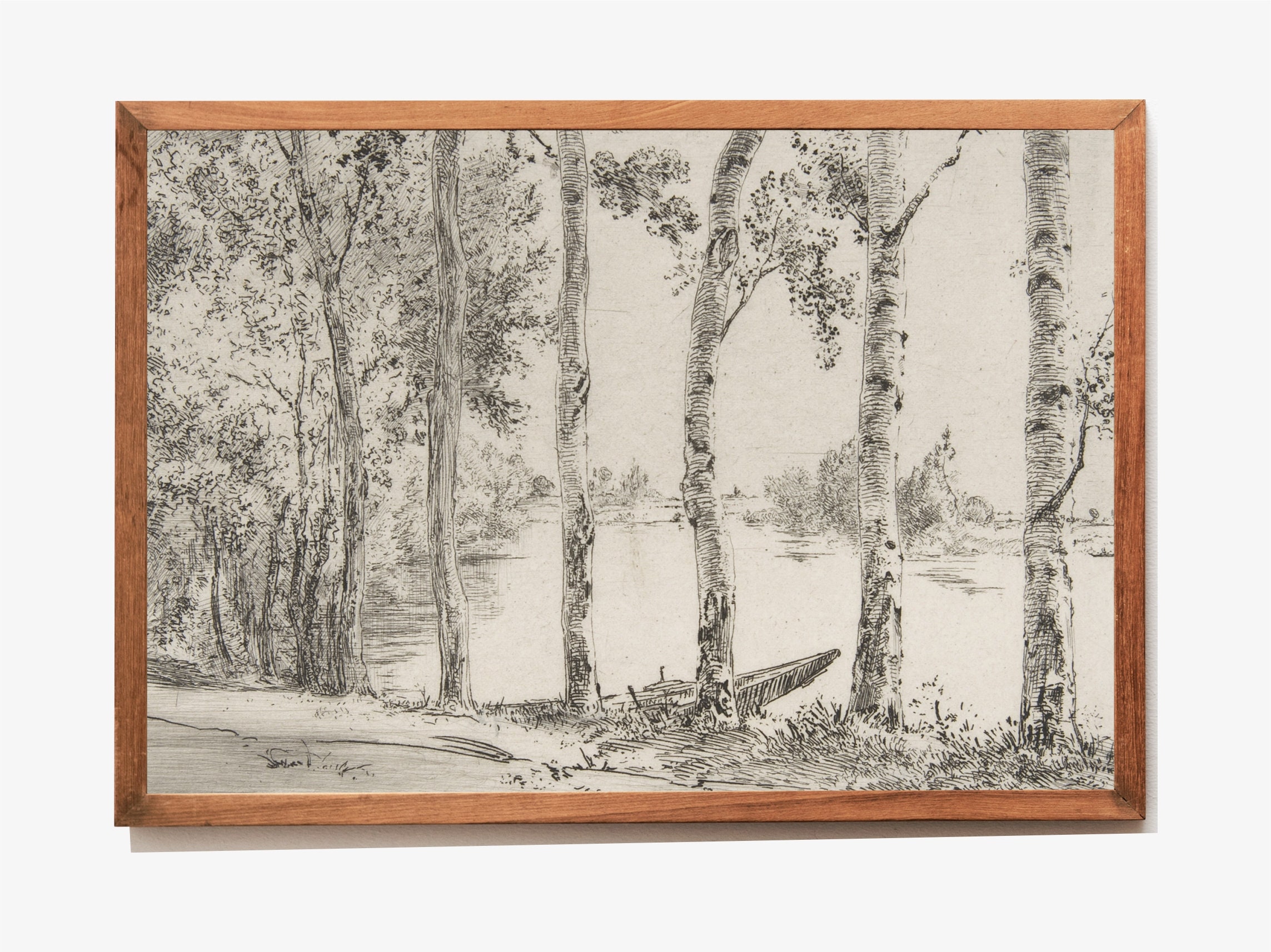 Poplars Trees Drawing, Antique Etching Prints, Vintage Tree Sketches ...