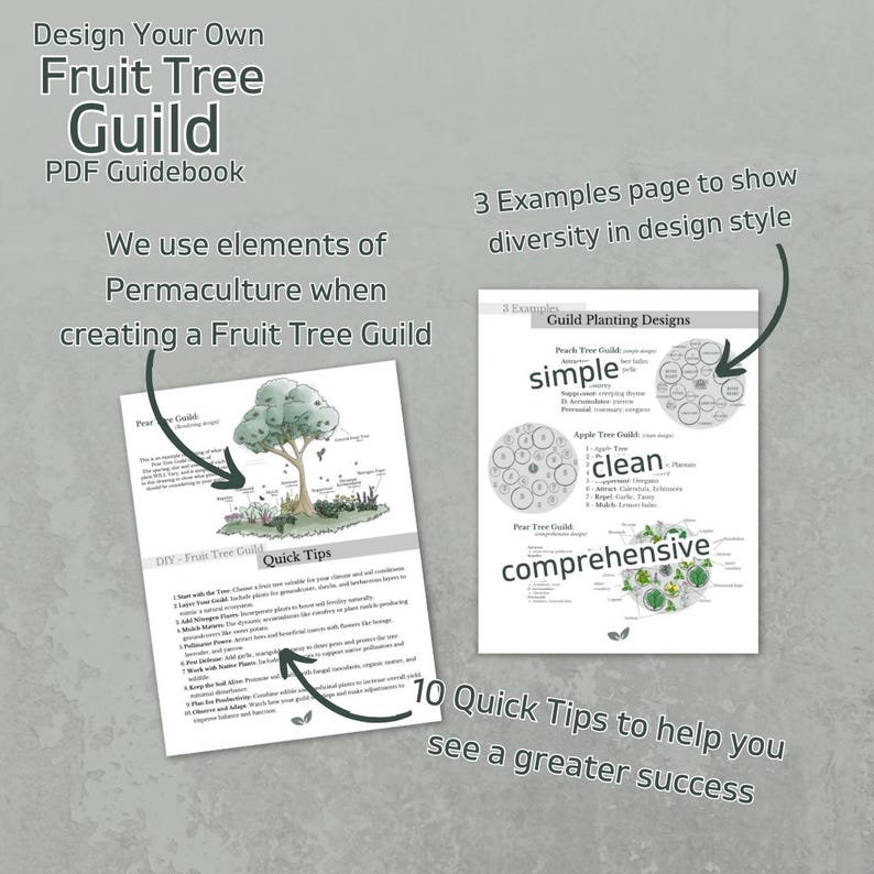 Design Your Own | Fruit Tree Guild | PDF Guidebook | Food Forest ...
