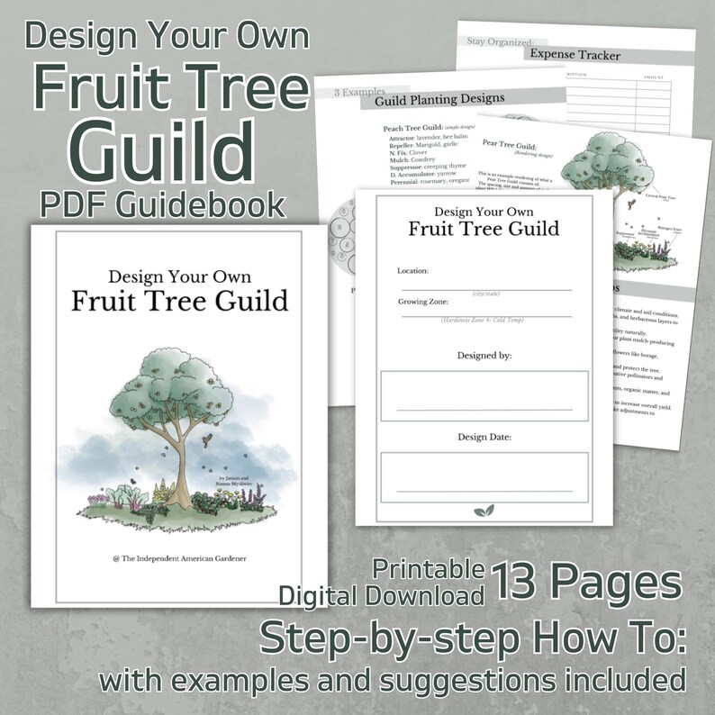 Design Your Own | Fruit Tree Guild | PDF Guidebook | Food Forest ...