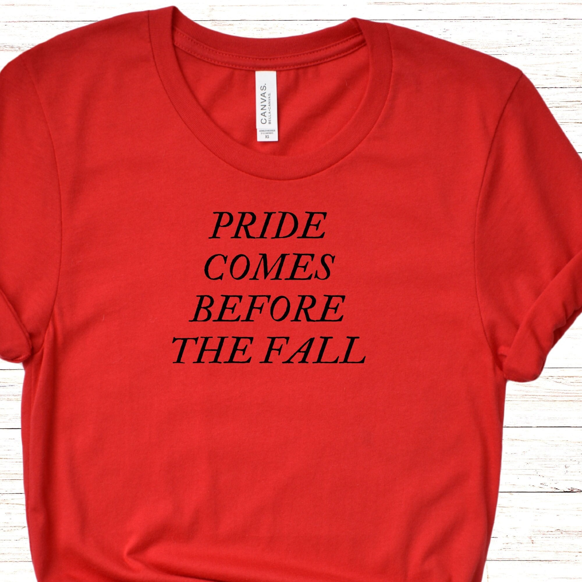 Pride Before The Fall