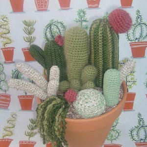Crochet Pattern-large Cactus Garden 7 Differnet Patterns PATTERN ONLY ...
