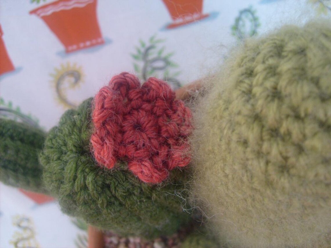 Crochet Pattern-large Cactus Garden 7 Differnet Patterns PATTERN ONLY ...