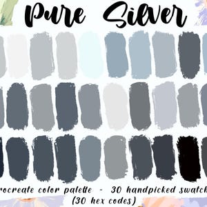 Pure Silver - Procreate Palette, 30 HEX Codes, Moody Grey Swatches ...