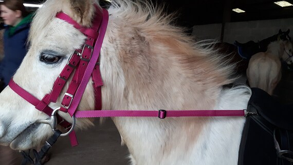 GRASS REINS ADJUSTABLE to Prevent Pony Eating Grass | Etsy