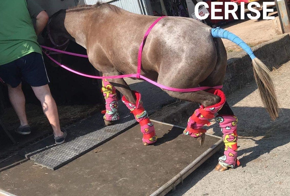 Horse Trailer Ramp for sale| 93 ads for used Horse Trailer Ramps