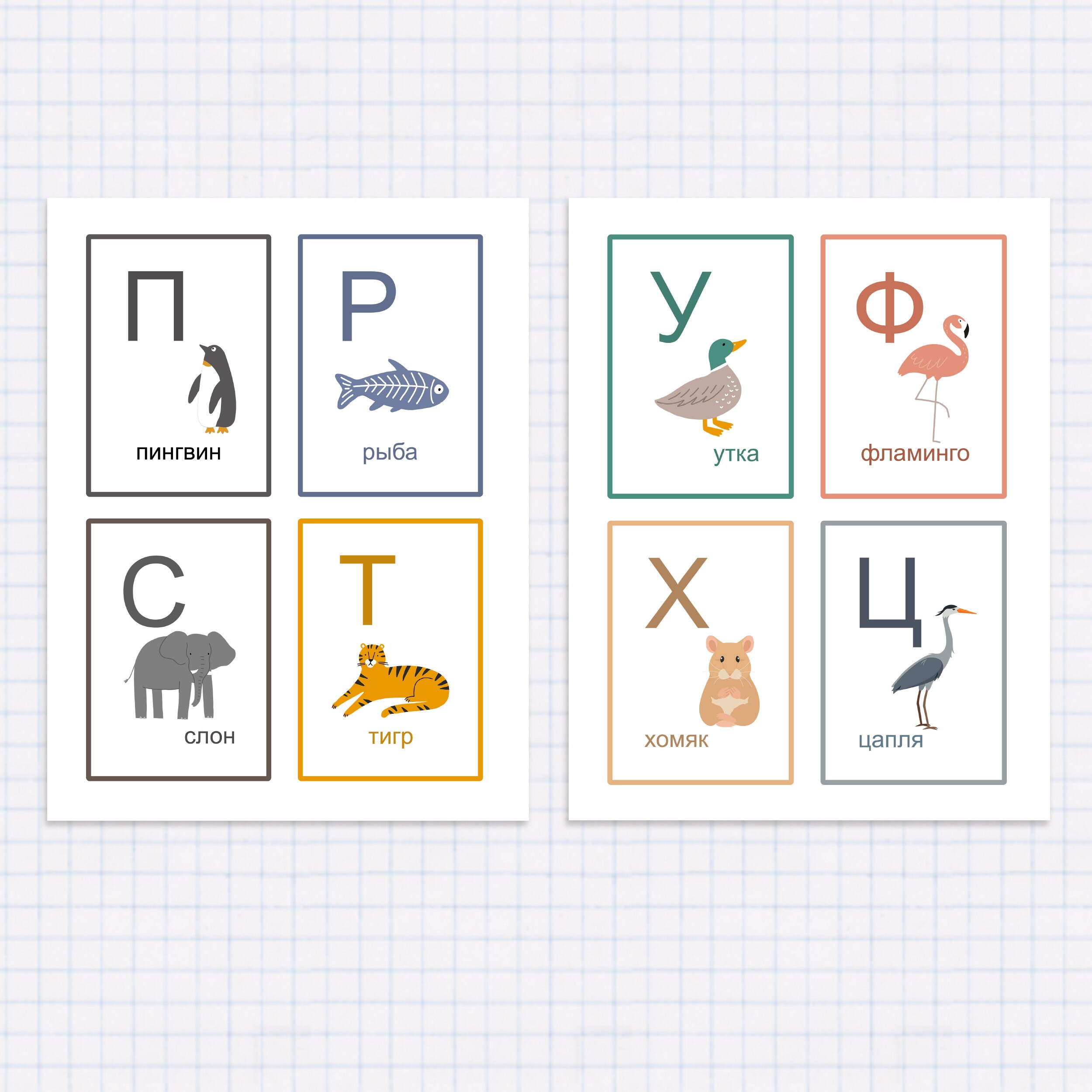Russian Animal Alphabet Flashcards for Kids Learn Letters - Etsy