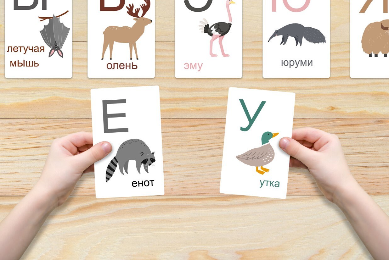Russian Animal Alphabet Flashcards for Kids Learn Letters - Etsy