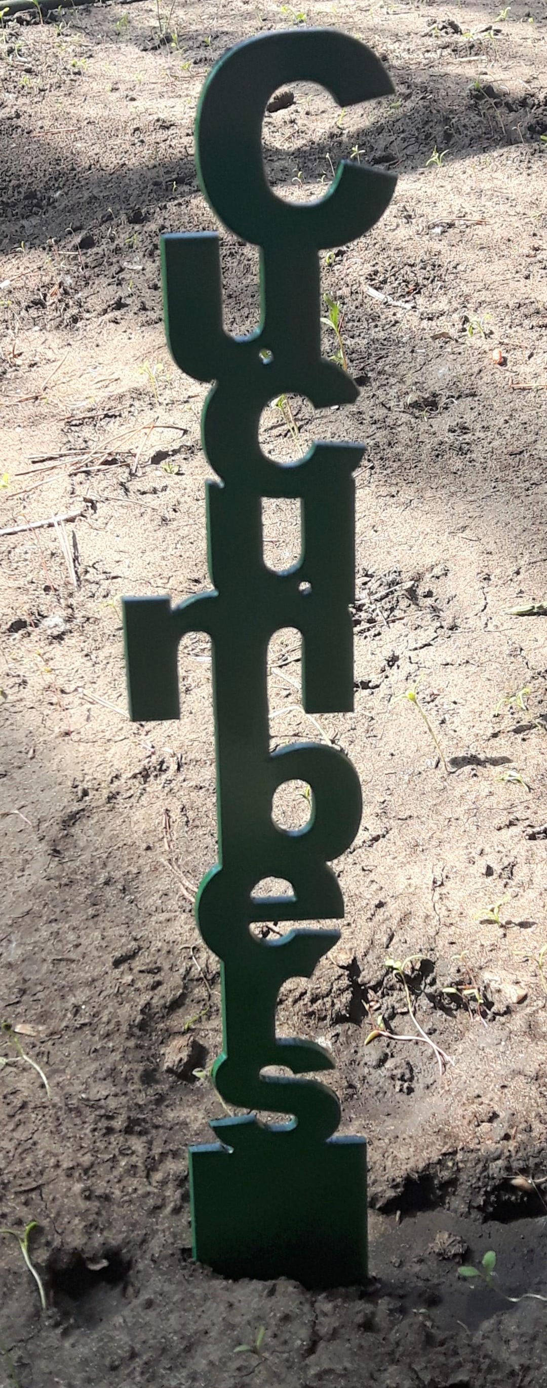 Cucumbers Garden Marker: Extra Large Steel Plant Label - Etsy
