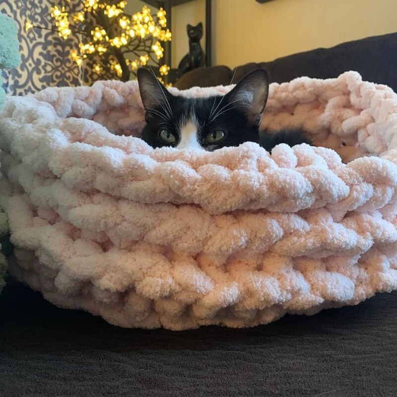 Cat Pod - Etsy