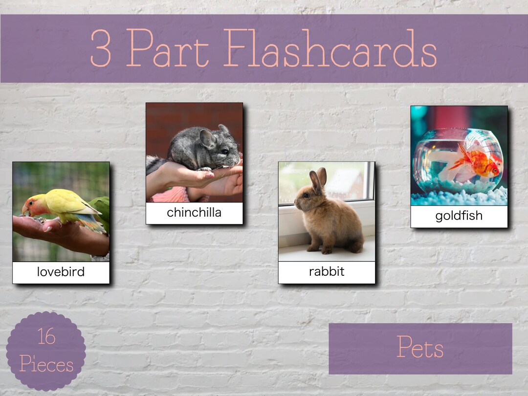 Pets 3 Part Cards, Montessori at Home Materials for Early Learning - Etsy