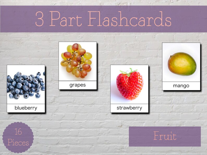 Fruit 3 Part Cards, Montessori at Home Materials for Early Learning - Etsy