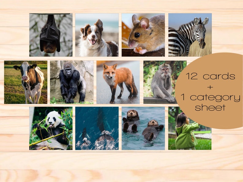 Mammals Animal Class Sorting Activity Montessori Printable - Etsy