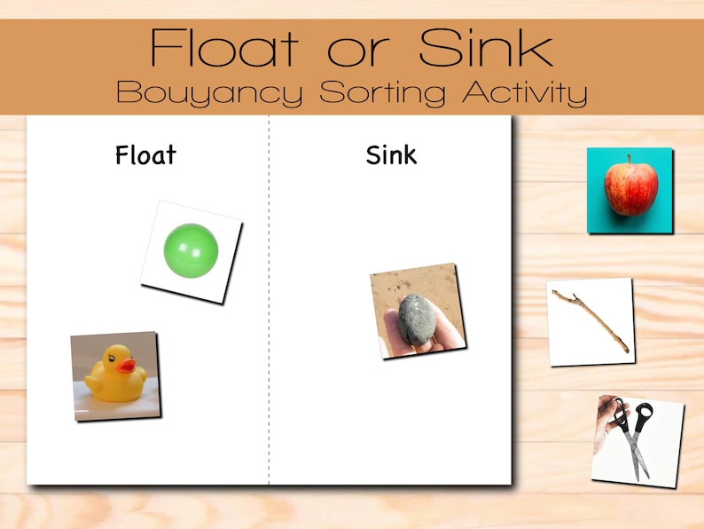 Sink or Float Buoyancy Sorting Activity Montessori Printable - Etsy