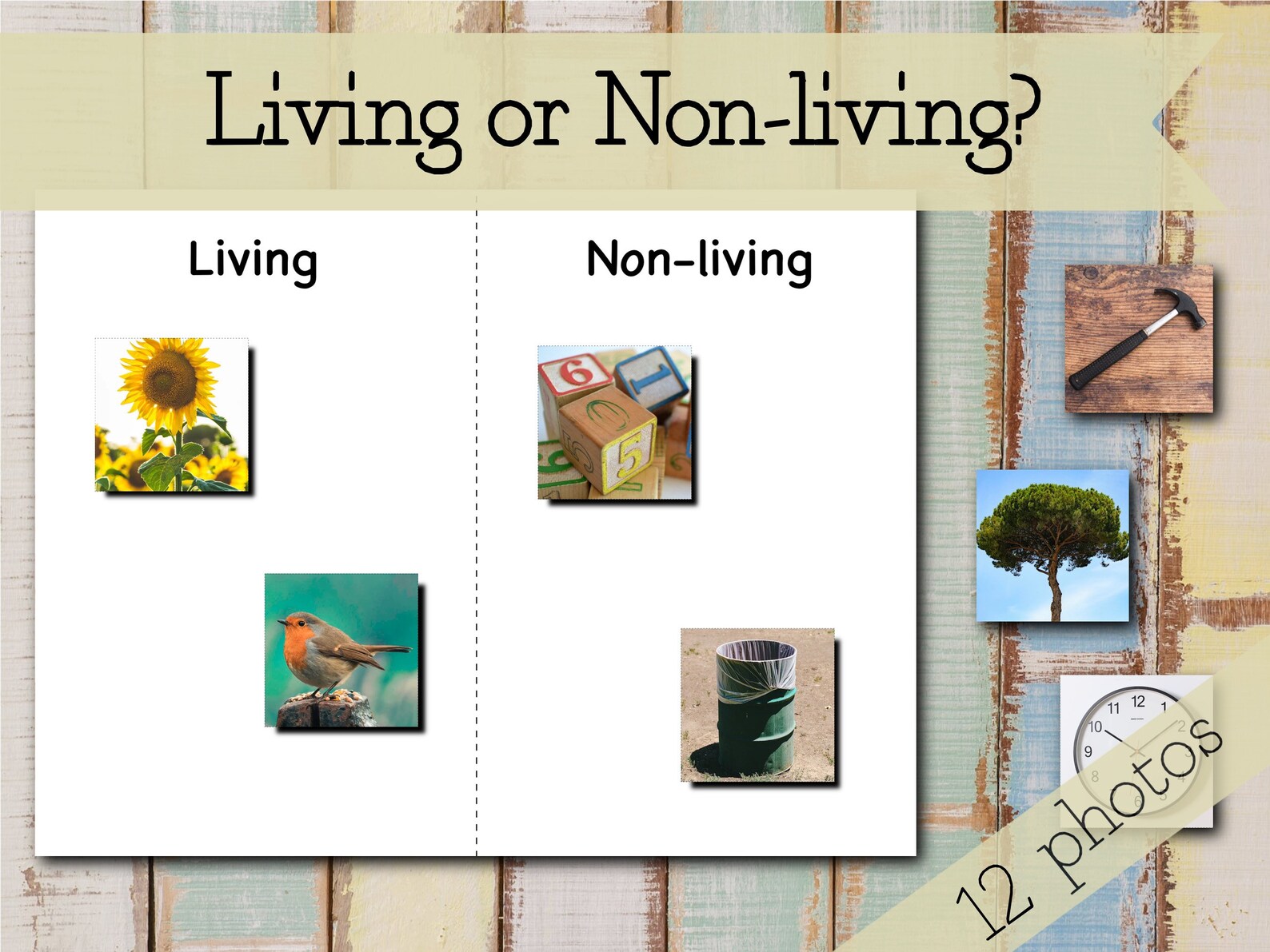 Living and Non-living Sorting Activity Montessori Printable - Etsy