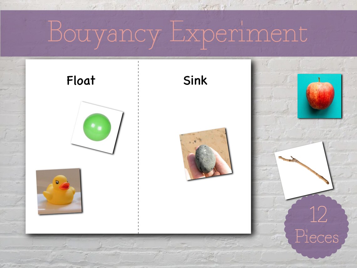 Sink or Float Buoyancy Sorting Activity Montessori Printable - Etsy