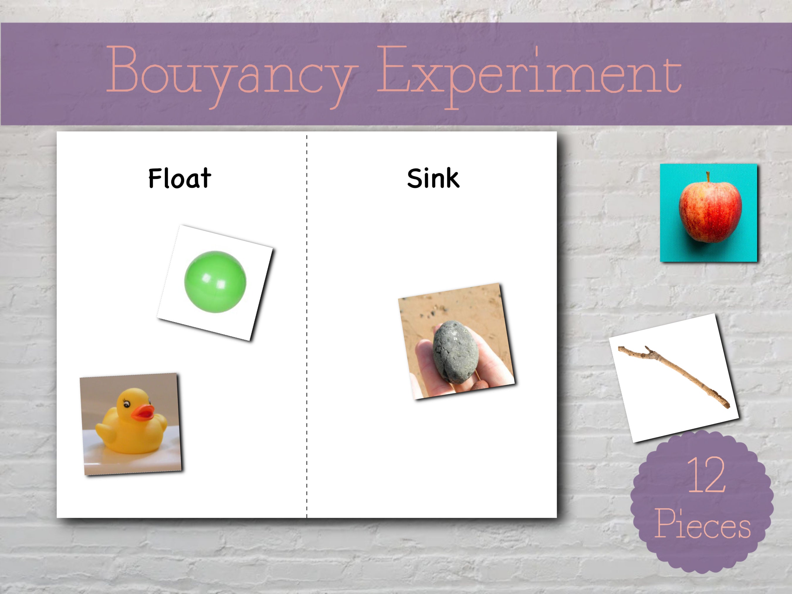 Sink or Float Buoyancy Sorting Activity - Montessori Printable - Etsy