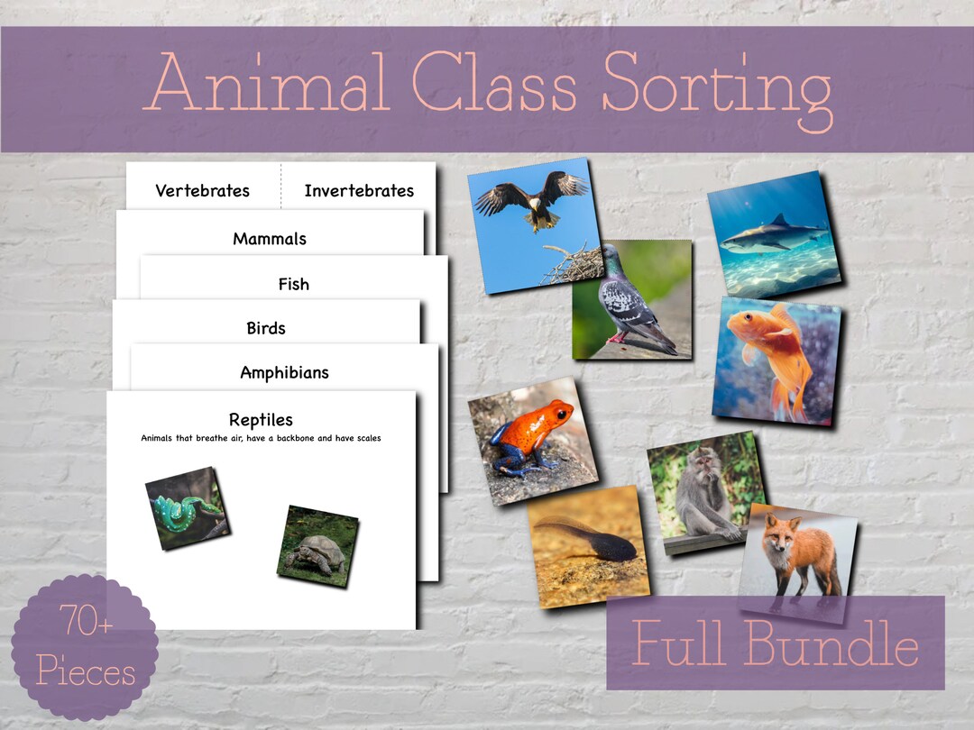 Animal Class Sorting Activity Bundle - Montessori Printable - Etsy