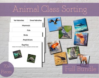 Mammals Animal Class Sorting Activity - Montessori Printable - Etsy