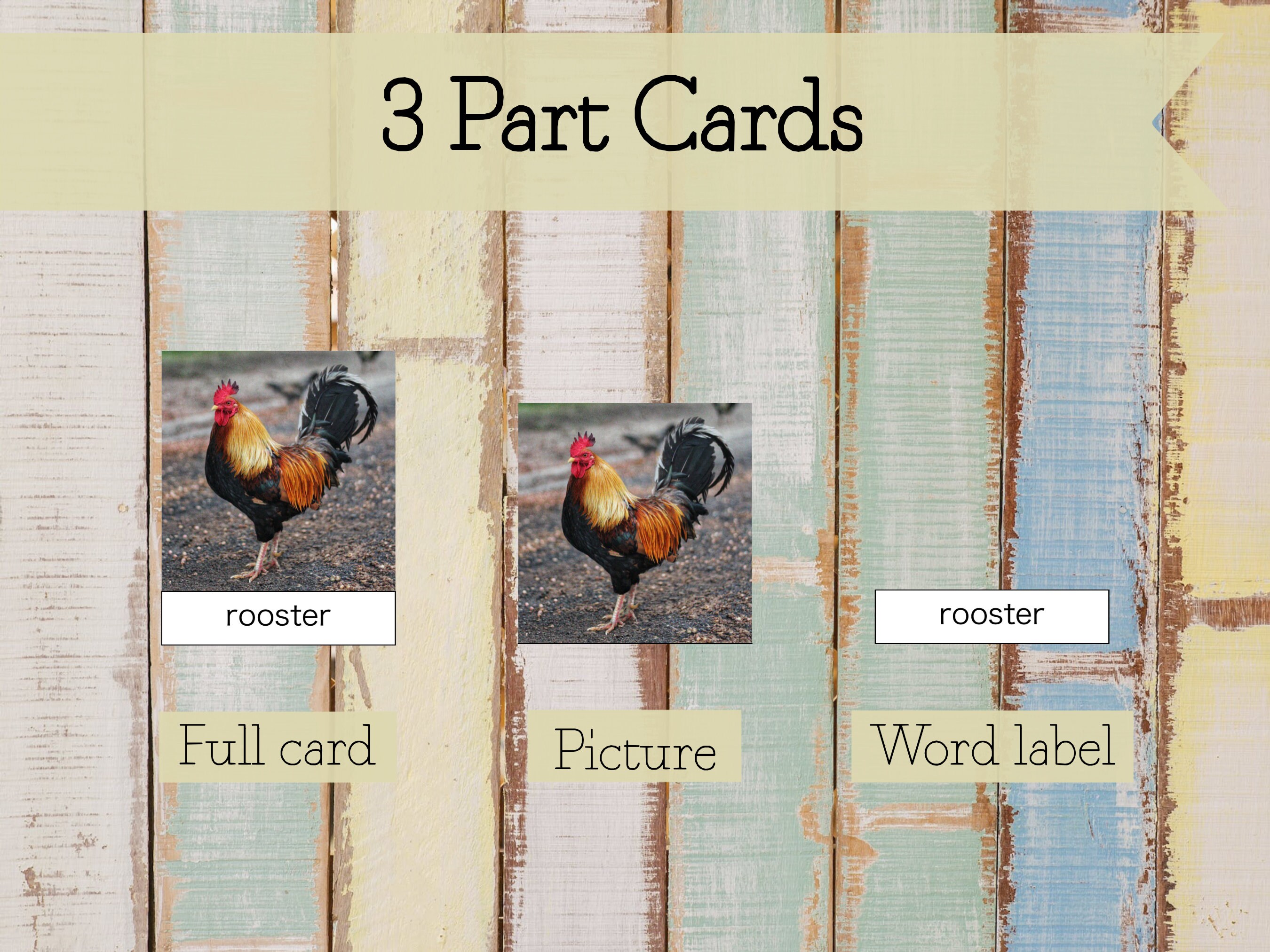 Farm Animal 3 Part Cards Montessori at Home Materials for - Etsy
