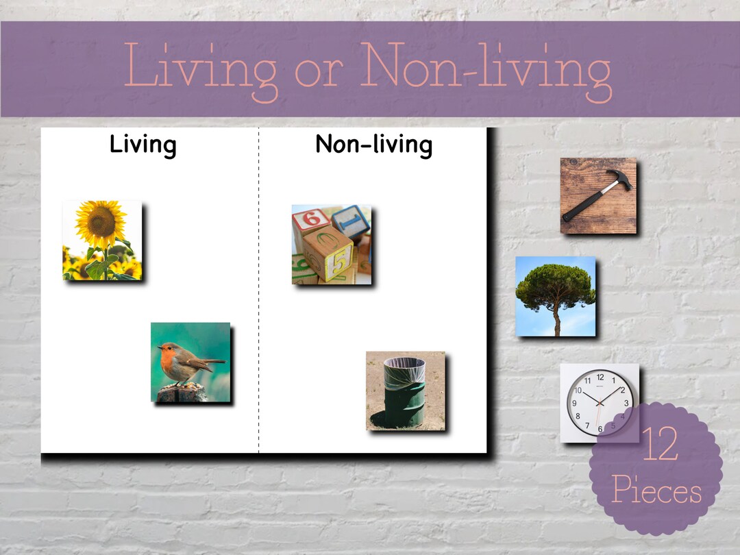 Living and Non-living Sorting Activity - Montessori Printable - Etsy