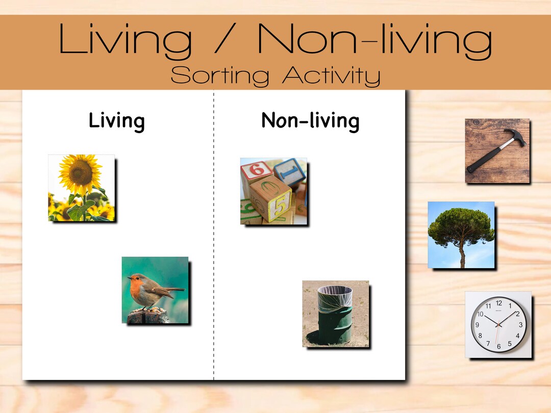Living and Non-living Sorting Activity Montessori Printable - Etsy