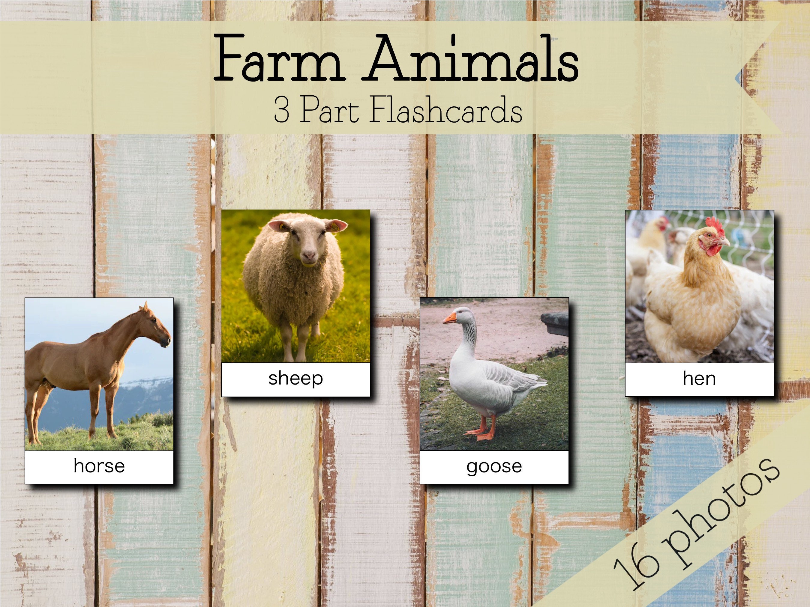Farm Animal 3 Part Cards Montessori at Home Materials for - Etsy