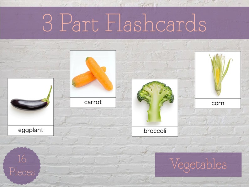 Vegetable 3 Part Flashcards - Etsy
