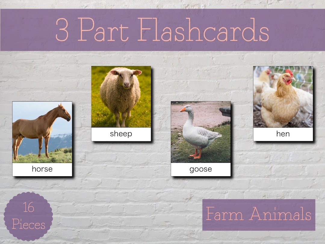 Farm Animal 3 Part Cards, Montessori at Home Materials for Early ...