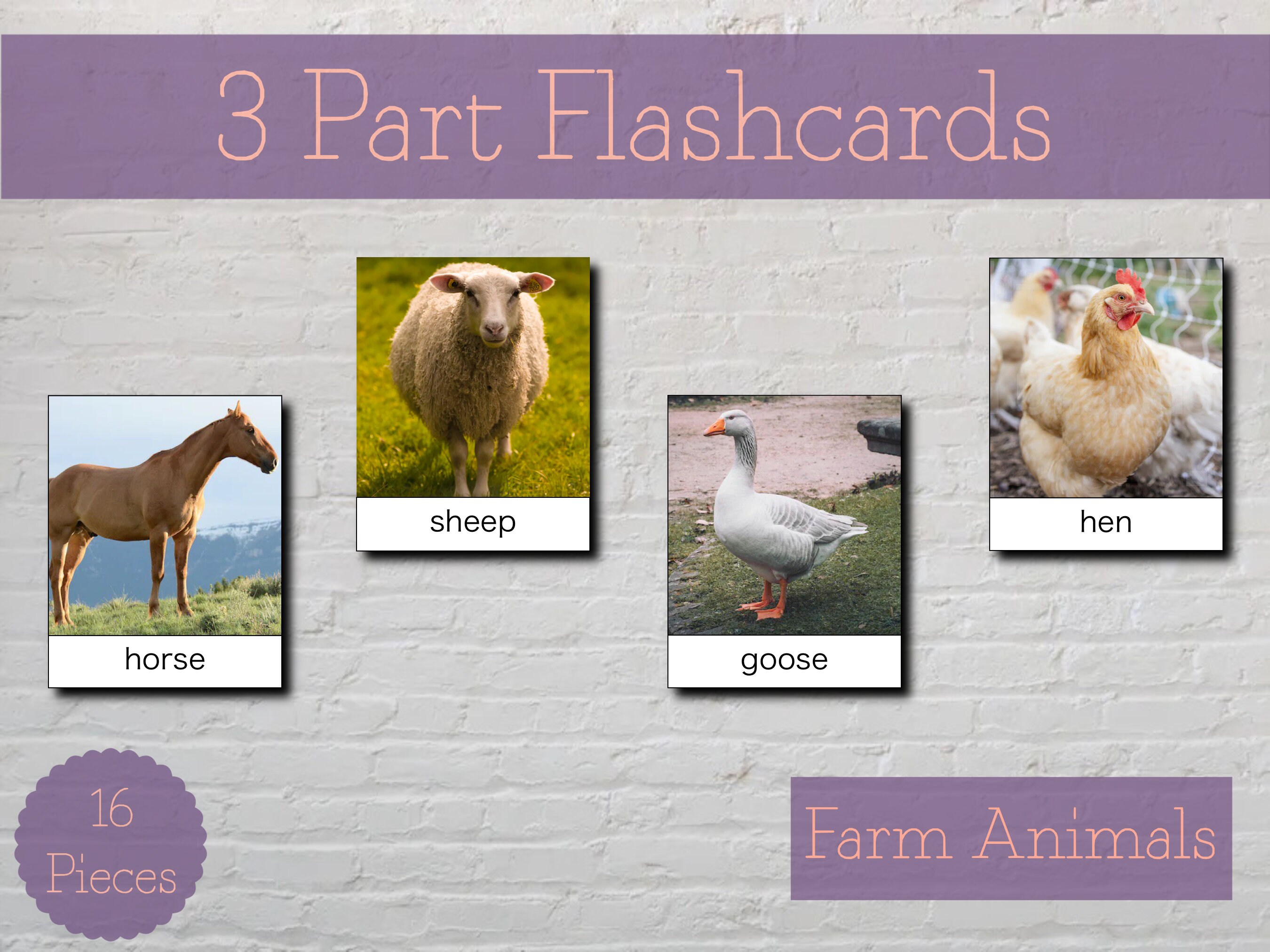 Farm Animal 3 Part Cards Montessori at Home Materials for - Etsy