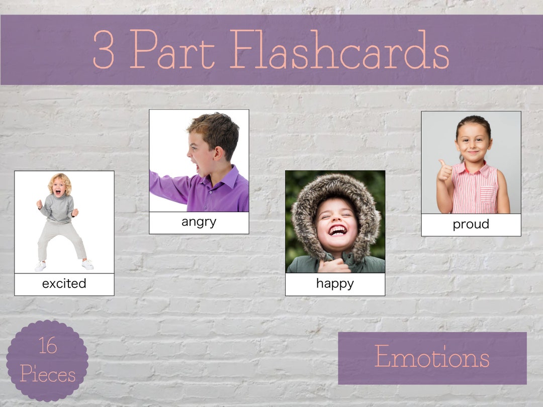 Emotions 3 Part Cards, Montessori at Home Materials for Early Learning ...