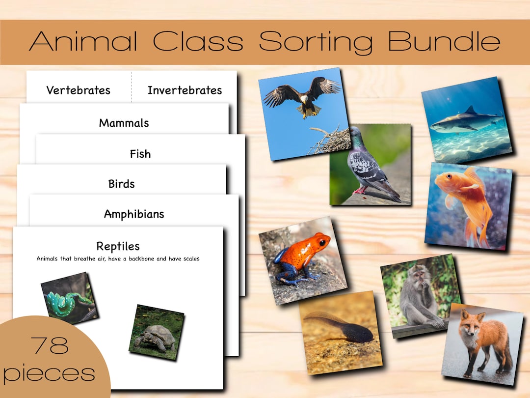Animal Class Sorting Activity Bundle Montessori Printable - Etsy