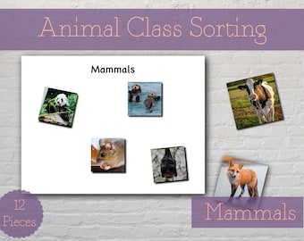 Amphibians Animal Class Sorting Activity - Montessori Printable - Etsy