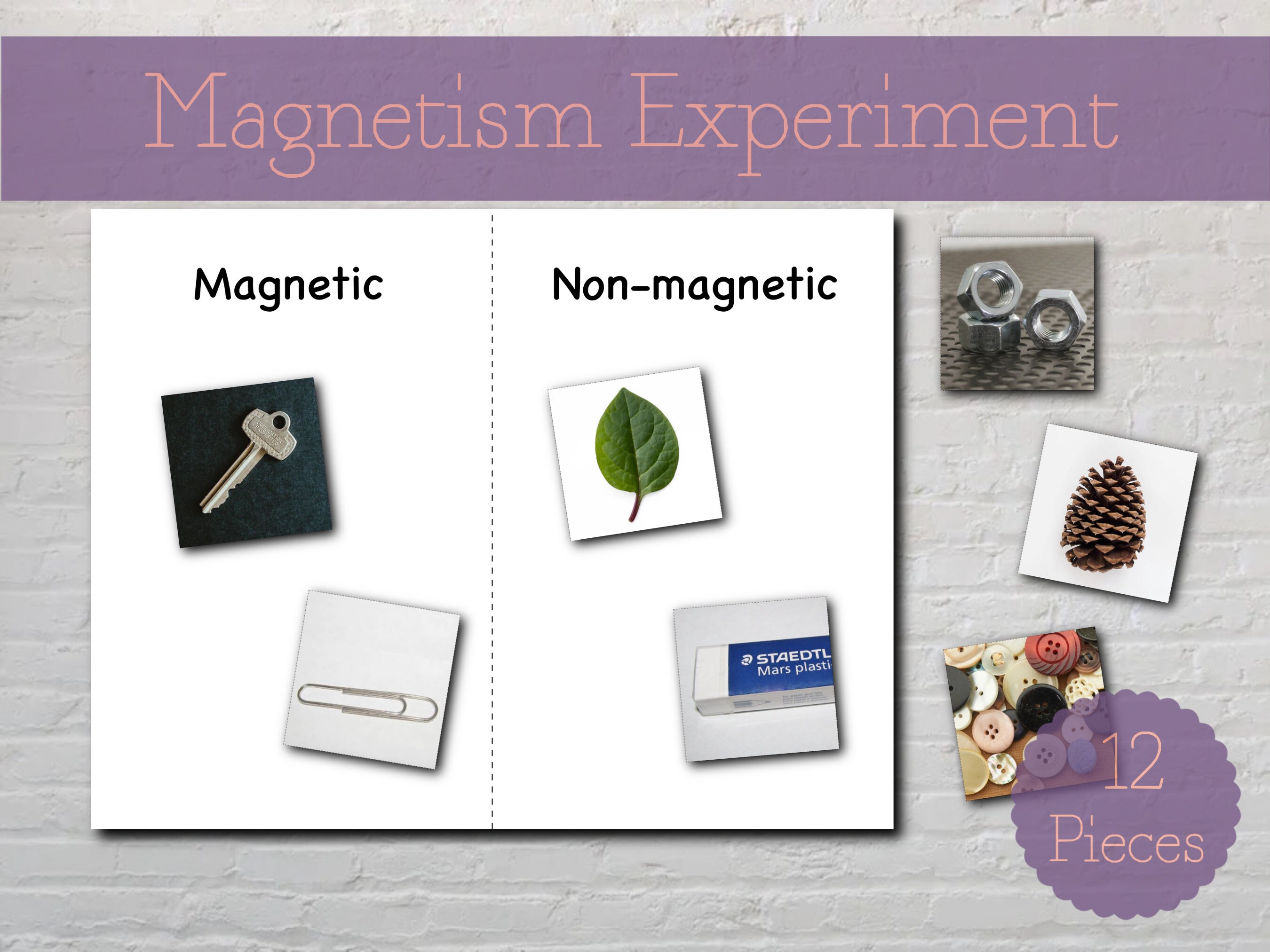 Magnetism Sorting Activity - Montessori Printable Magnetic - Etsy