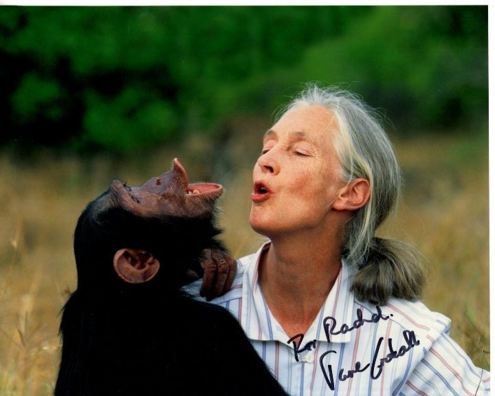 Jane Goodall Autographed Signed 8x10 Photograph - to Rachel - Etsy