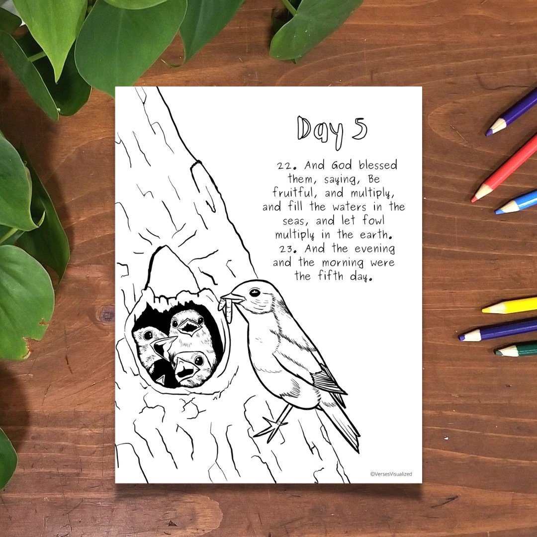Creation Story Coloring Pages! Pack of 13, KJV, Printable Christian ...