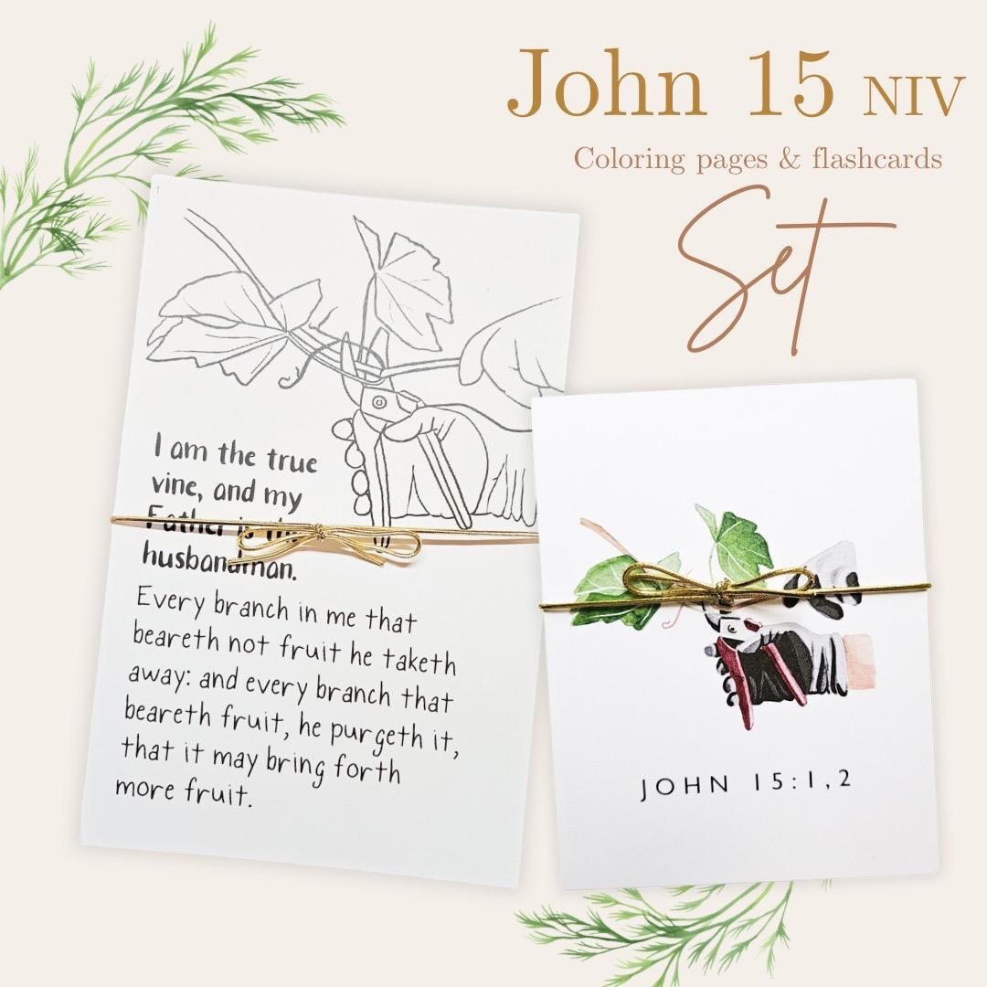 NIV I Am the Vine Memorization Set, John 15 Flashcards and Coloring ...