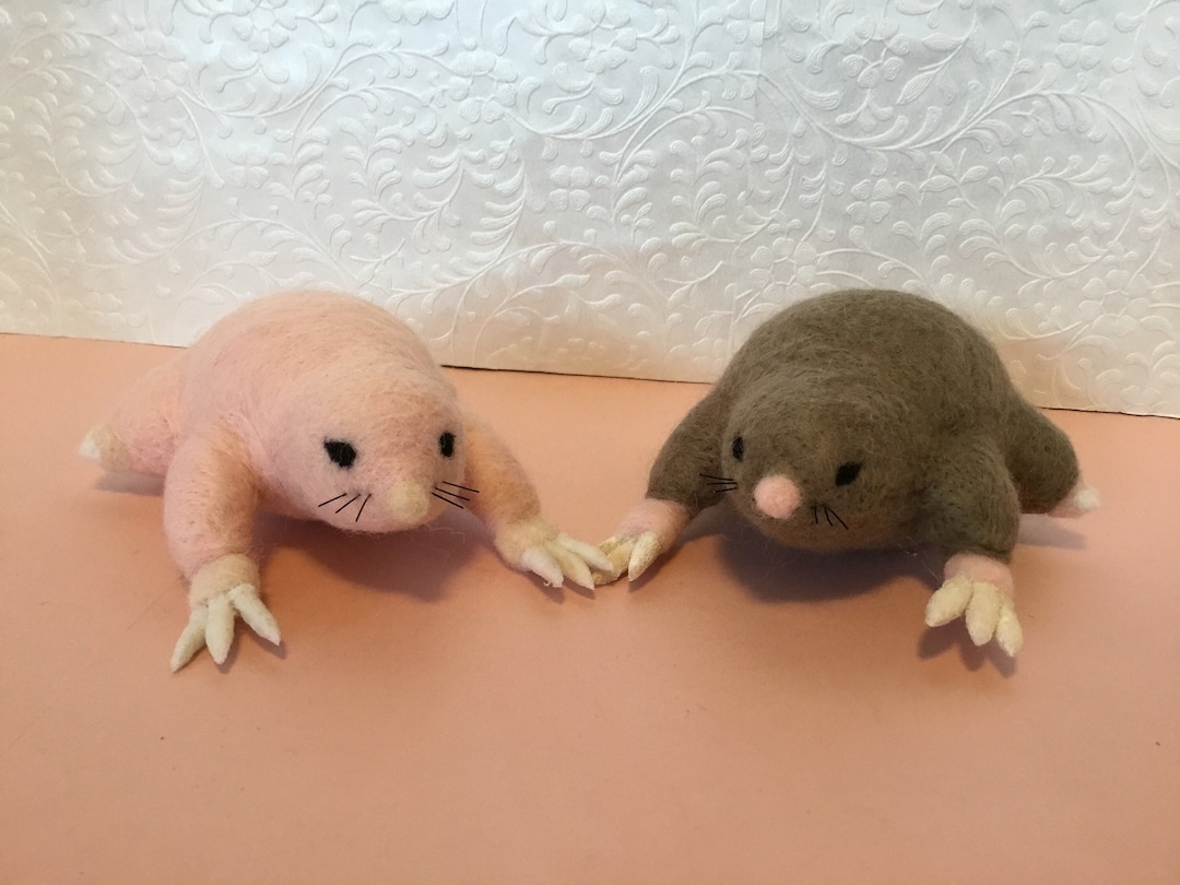 OSRS Giant Mole Needle Felted Wool Figure - Etsy