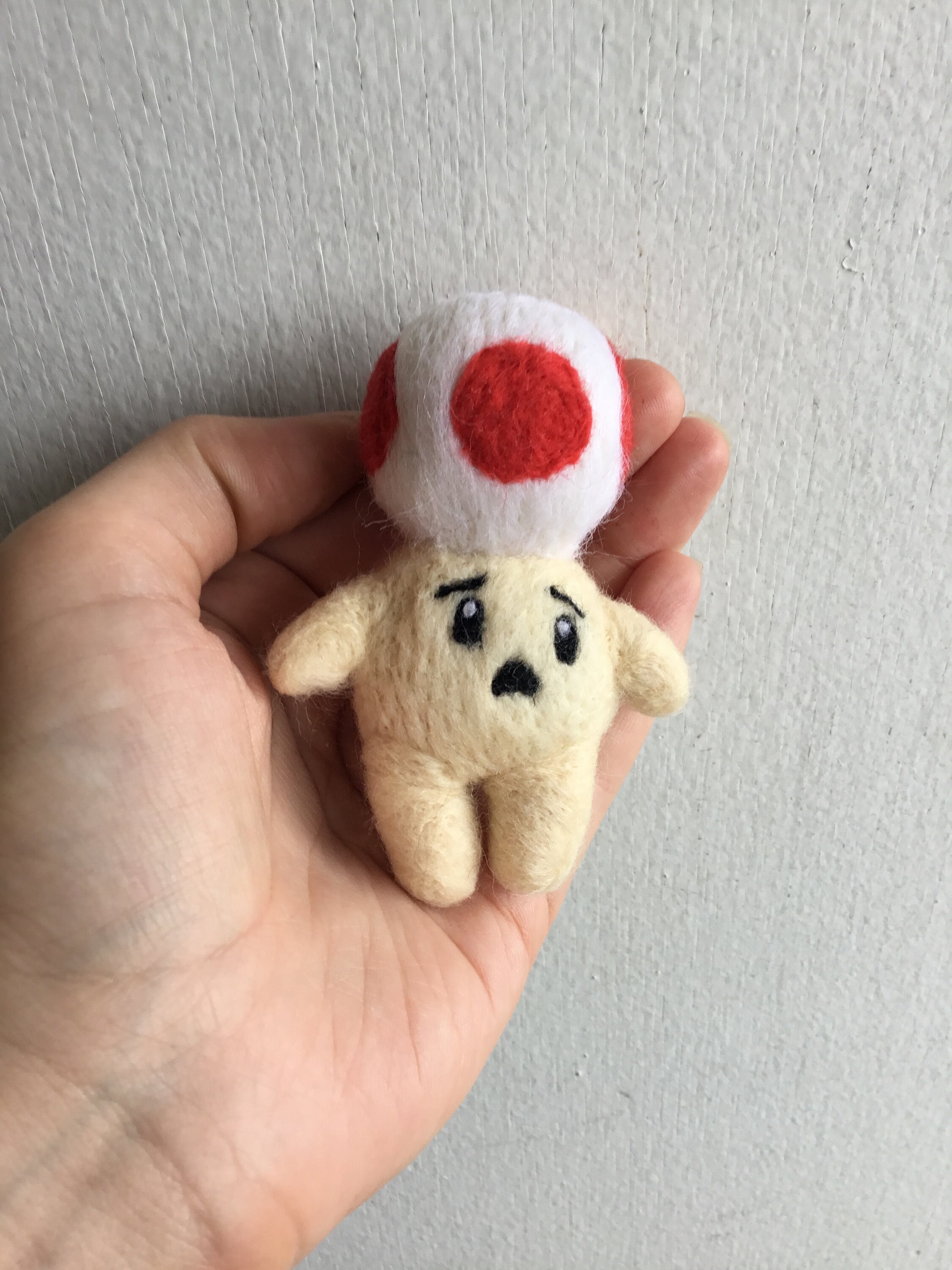 Toad but He's Naked and Afraid Needle Felted 100% Sheep - Etsy