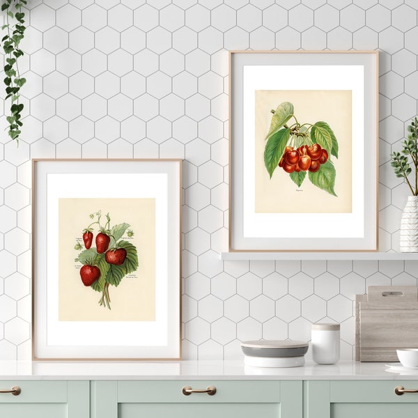 Strawberry Kitchen - Etsy